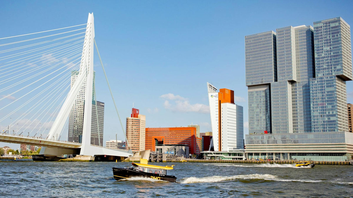 Rotterdam stadsprints en illustraties – DouweDraws